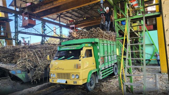 Tahun Giling 2025, Produktivitas Tebu SGN Dipatok 8 - 10 Ton per Hektar