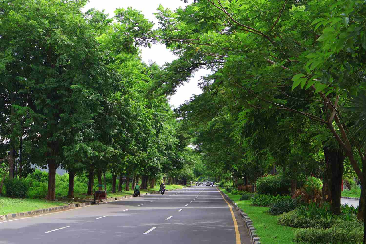 Proyek Surabaya East Ring Road Diusulkan ke Pemerintah Pusat